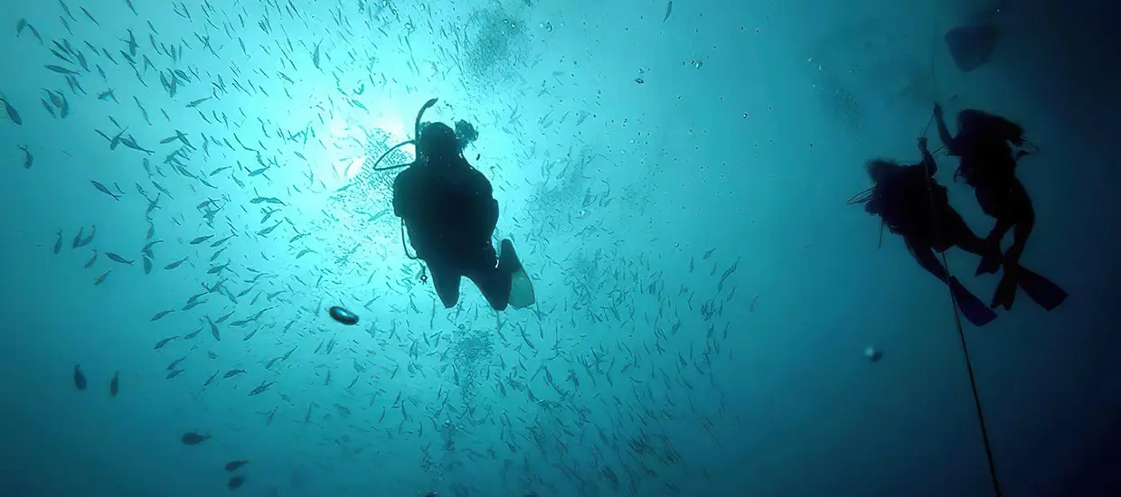 Explore the Underwater World of Sri Lanka with Scuba Diving